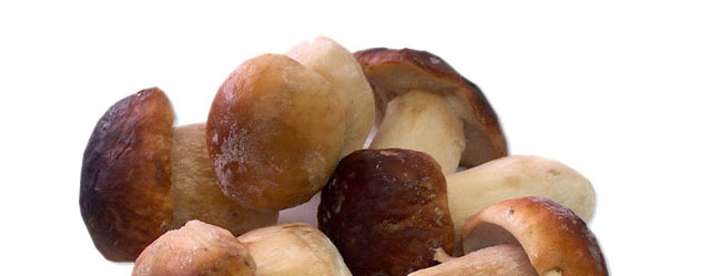 Special ｜ KOINUMA Co., Ltd ｜ Truffles, Caviar, Foie gras